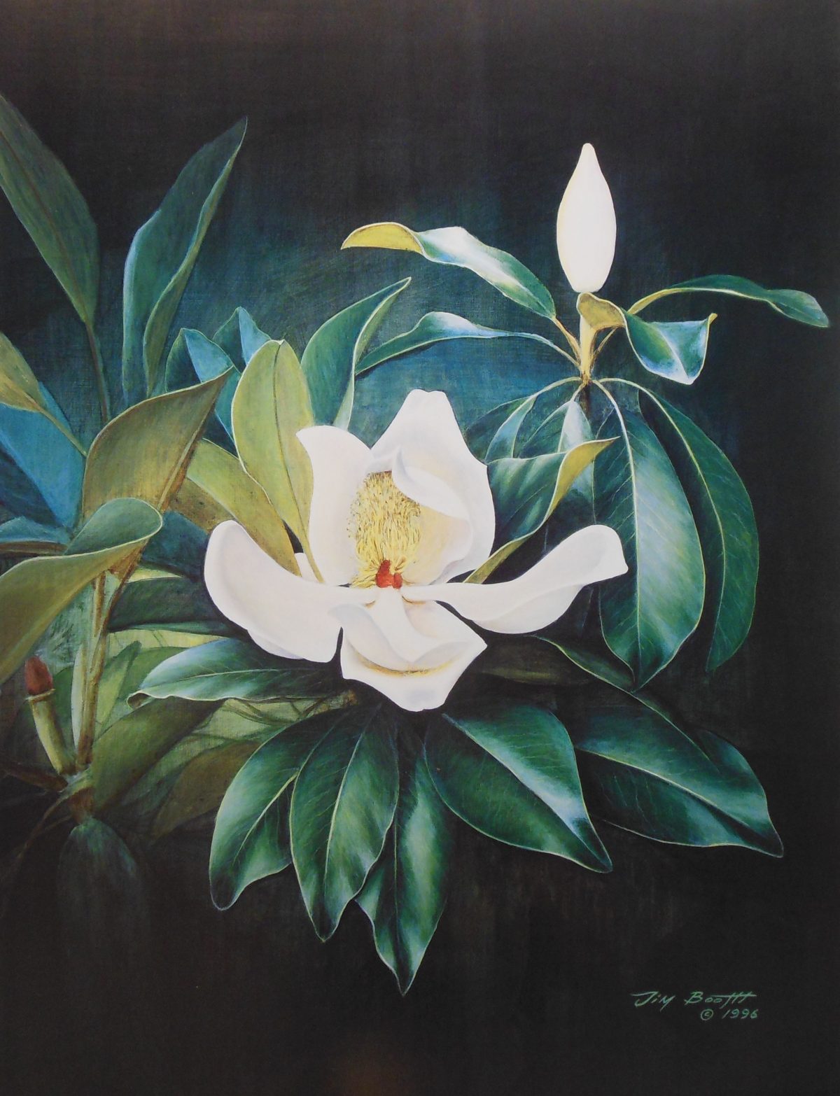 Classic Editions Archives - Jim Booth Art Gallery - Charleston, SC